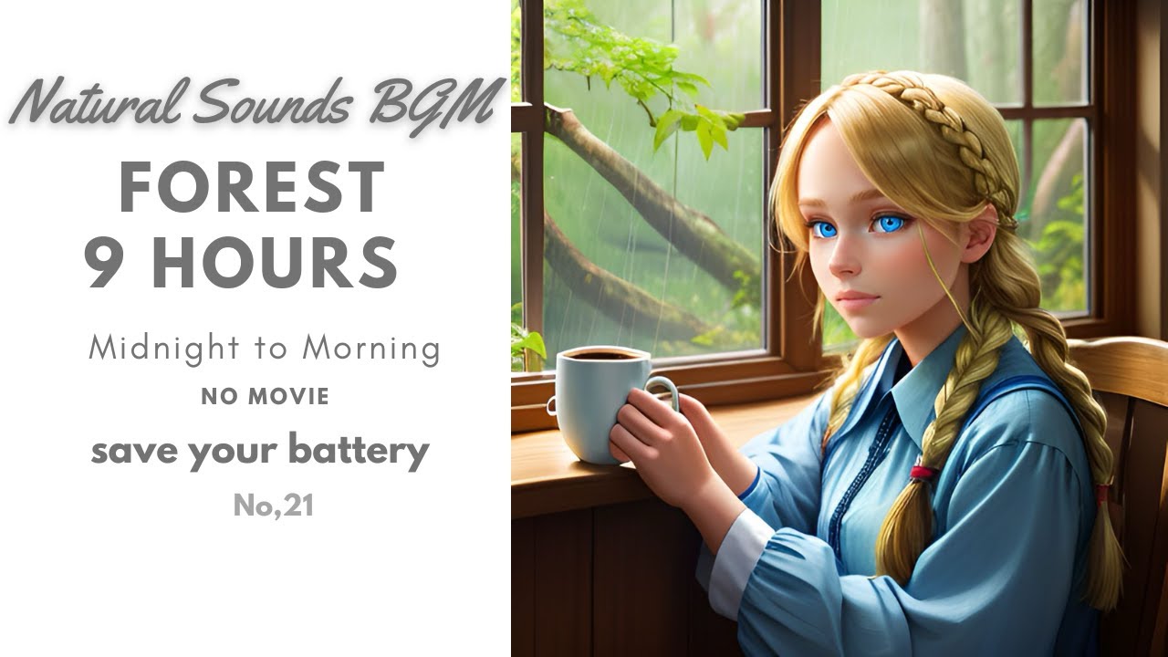 Natural Sounds BGM.No,21.Forest, 9 Hours.Midnight to Morning.Save your ...