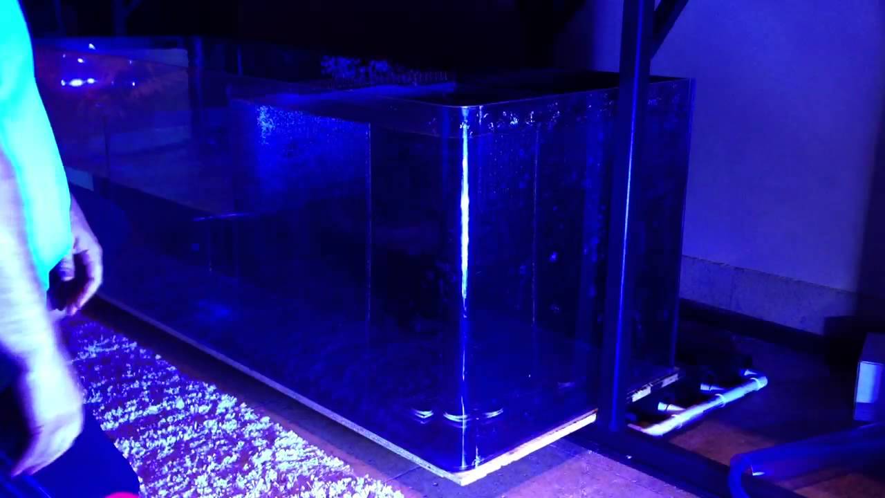 Pull out aquarium sliding sump design - YouTube