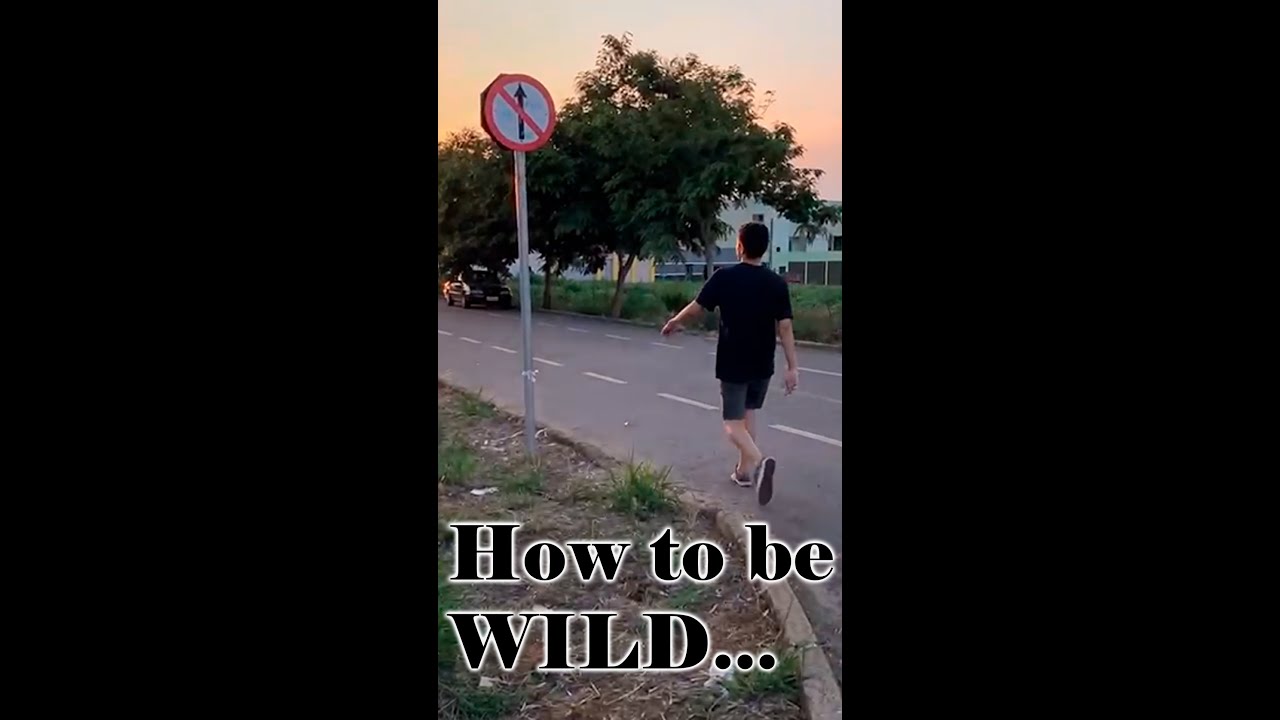 How to be Wild - YouTube