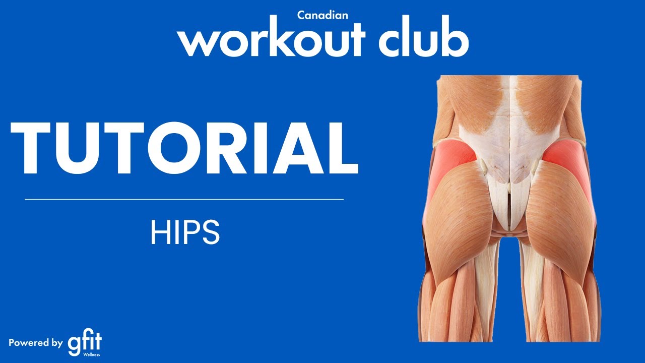 Hips | Tutorial🥇 | Canadian Workout Club | - YouTube