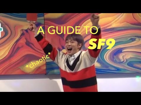 A Helpful Guide To SF9