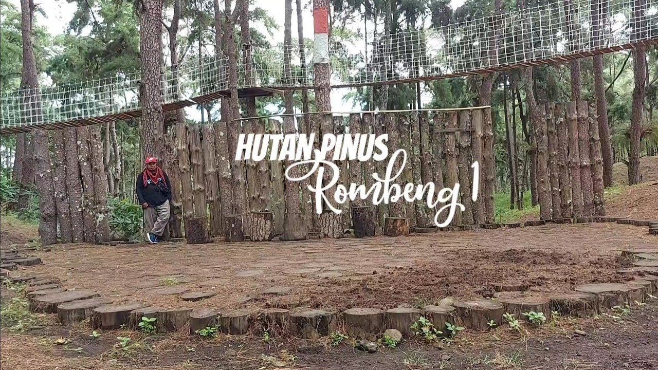 Hutan Pinus Rombeng 1: Best Camp site in Bantaeng - YouTube