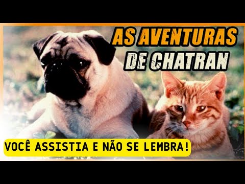 ELE FOI CARREGADO PELO RIO E SÓ QUERIA ENCONTRAR SEU AMIGO | AS ...