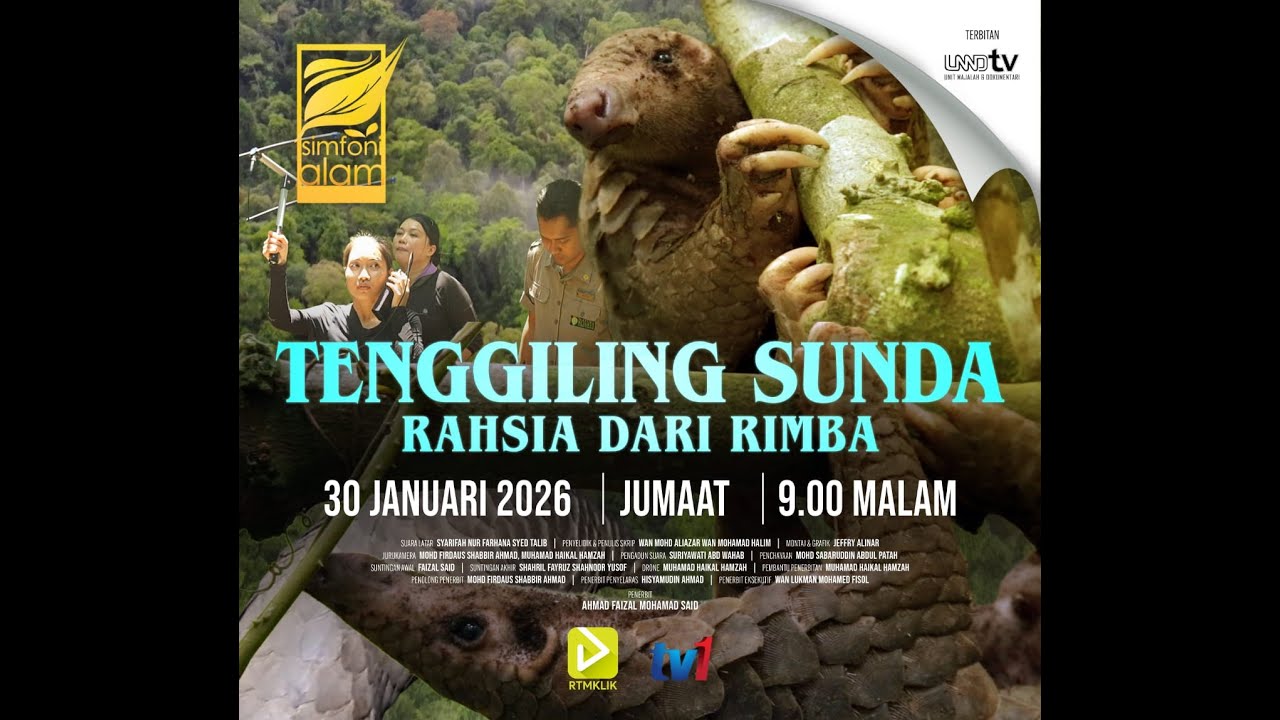 TENGGILING SUNDA RAHSIA DARI RIMBA - YouTube
