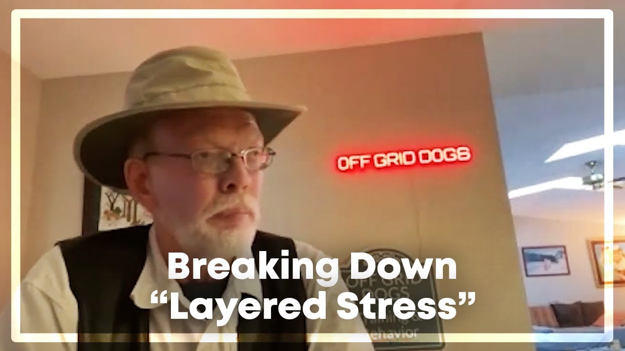 Breaking Down The "Layered Stress" Model - YouTube