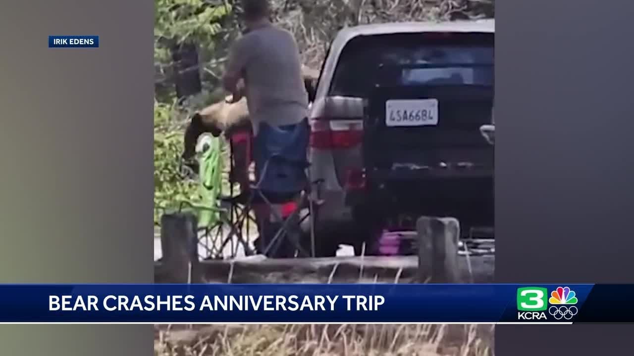 VIDEO: Bear break-in disrupts 13th wedding anniversary campout - YouTube