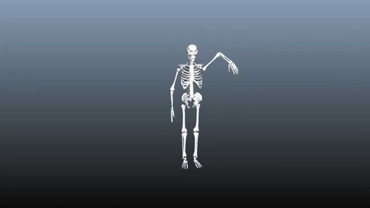 Spooky Skeleton Man - Trailer - YouTube