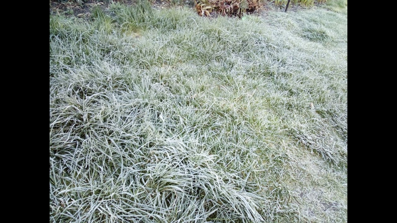 Andrew Deaville: How our Father deals with us in love - YouTube