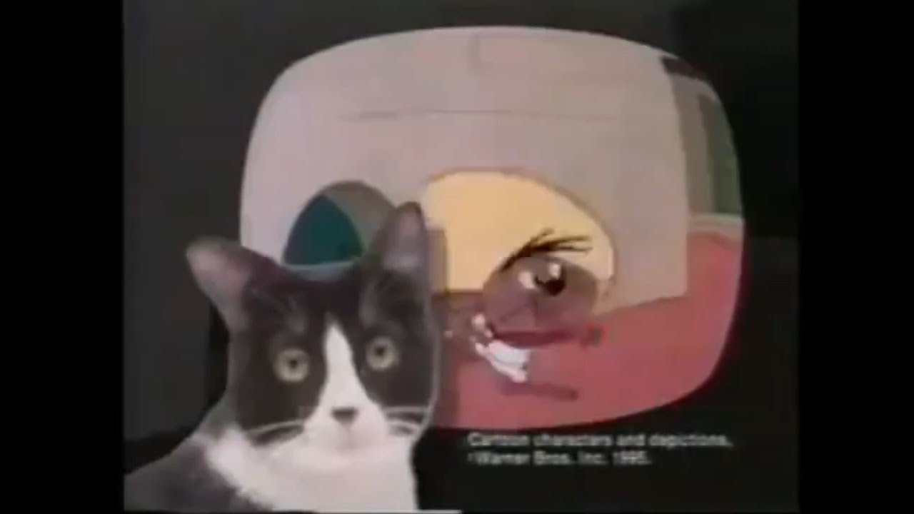 Looney tunes promo - cat - Looney tunes on Nickelodeon (1995) - YouTube