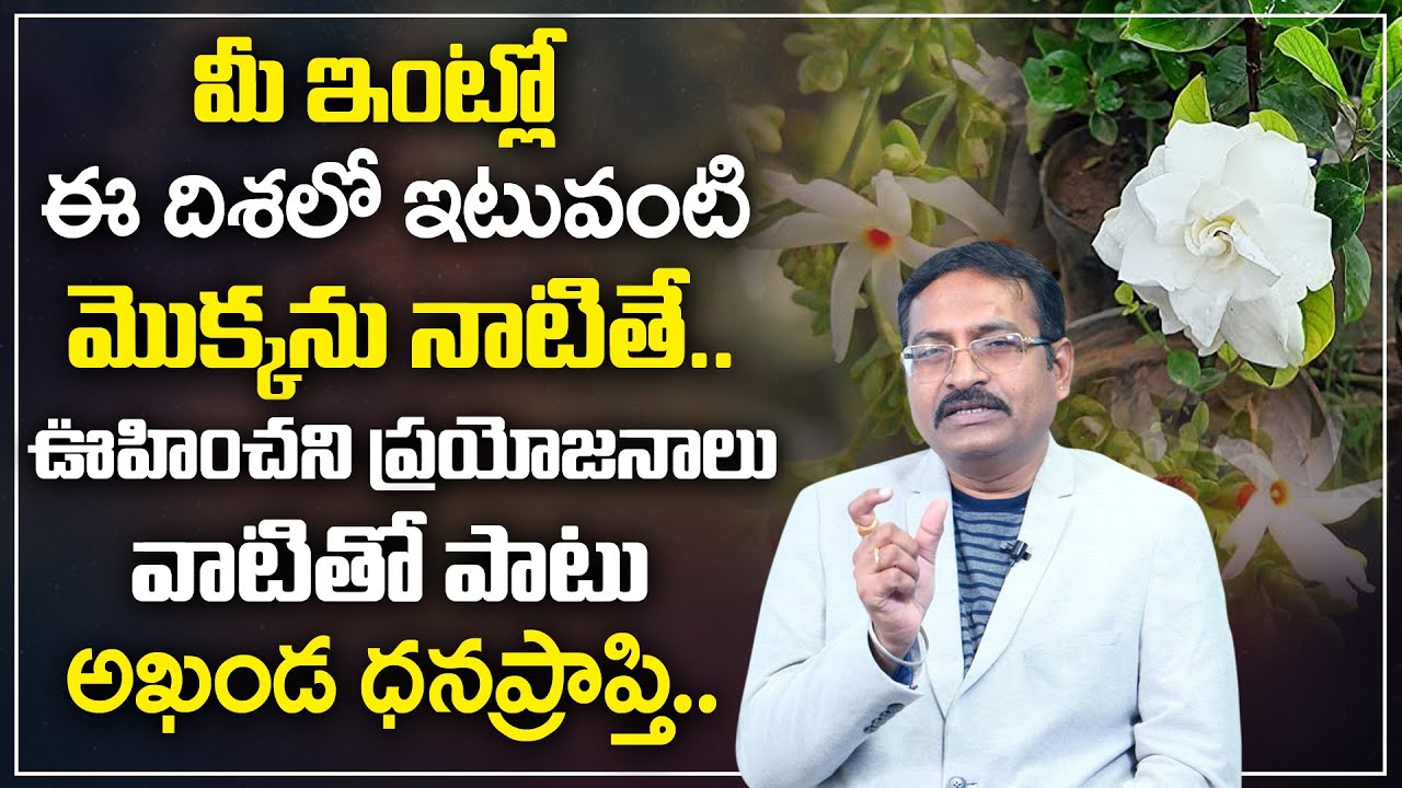 BVSSR Reddy : Parijatham flower Plant || Best Home Vasthu Tips in ...