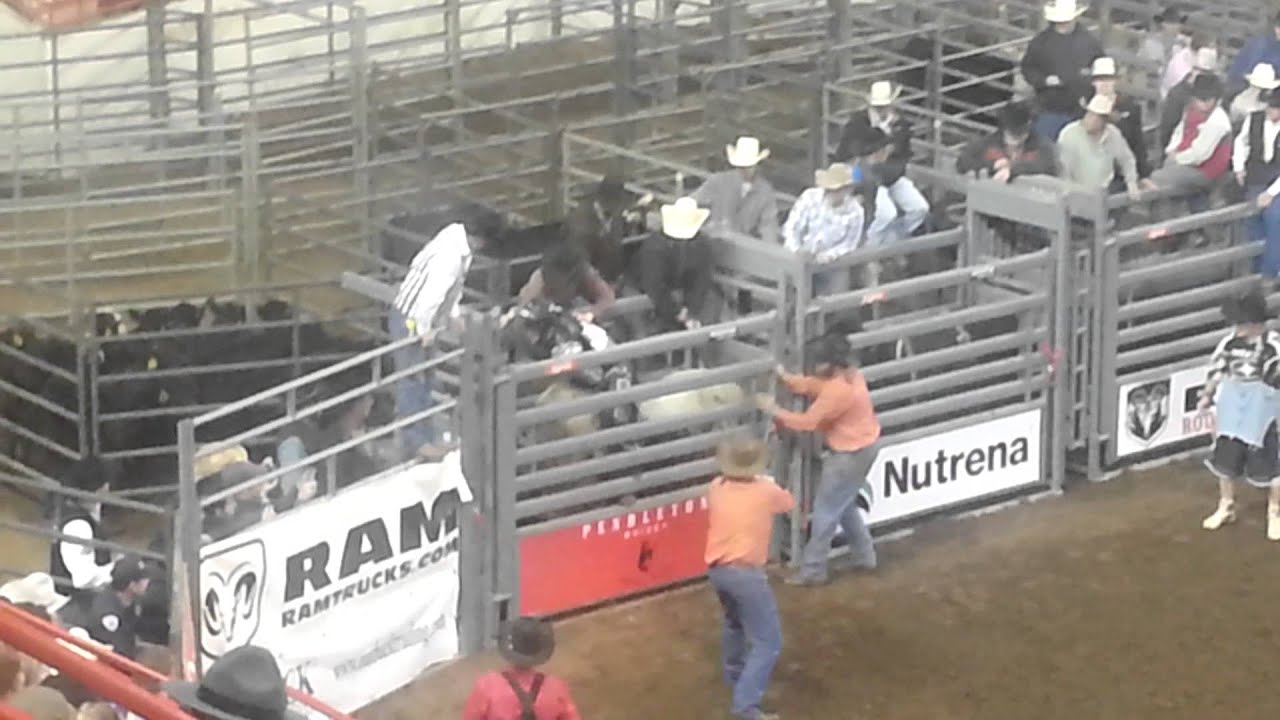 J Bar W Ranch Bull # - YouTube