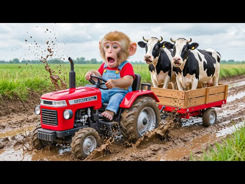 Monkey NaNa’s Grass Run Turns Into CHAOS! Tractor Sinks in Mud…But His Genius Rescue Stuns Everyone!