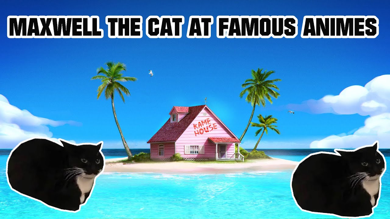 Maxwell The Cat Anime Adventure! - YouTube