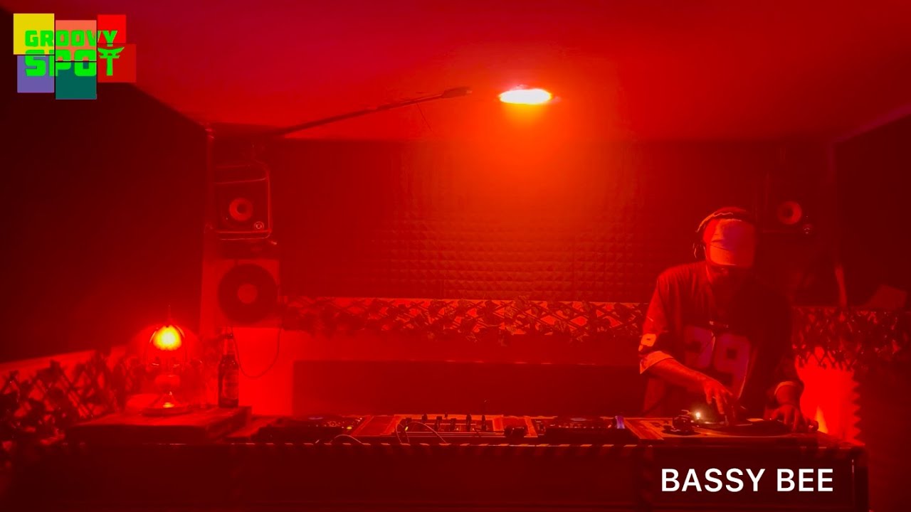 BASSY BEE | GROOVY SPOT - YouTube