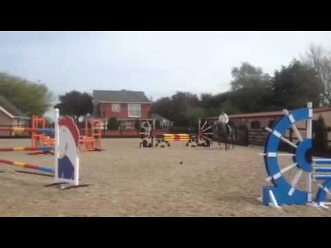 Emillion X Quidam de revel 5yrs mare