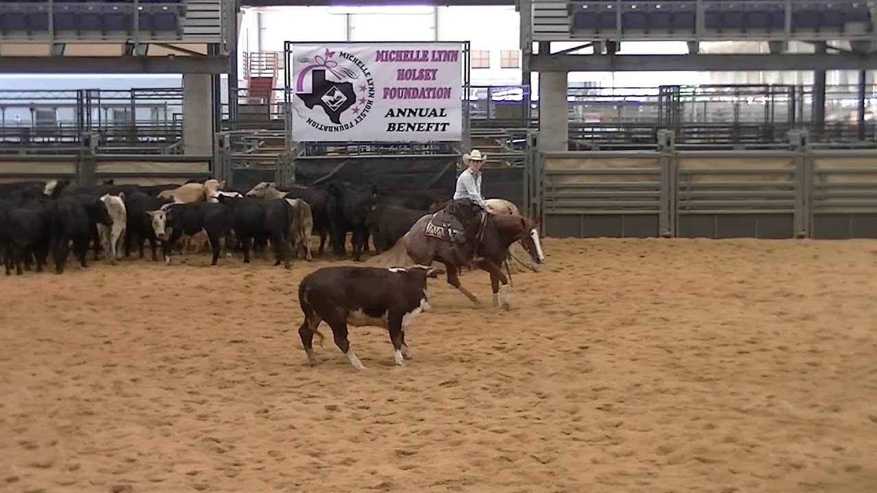 10-5-2017 Michelle Lynn Holsey - LUCK XURY - Lindy Wells - 25K NH NP ...