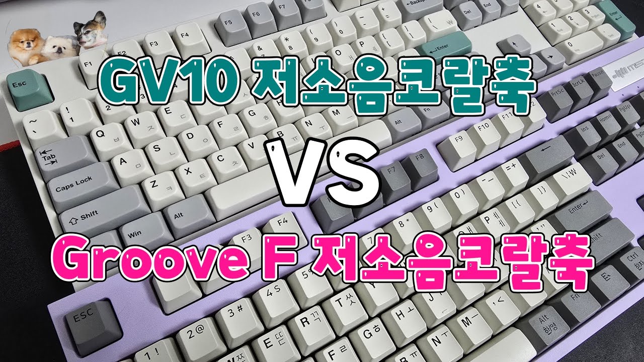 돌아왔다 엠스톤~! | 구버전 Groove F 저소음코랄축 45g | 신버전 GV10 ga 저소음코랄축 38g | feat. oem 키캡 장착 시 타건소리도 비교했어요 ...