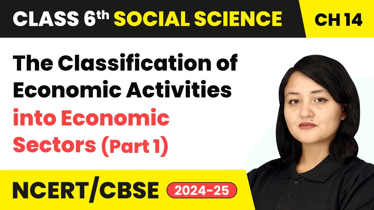 The Classification of Economic Activities (Part 1) | Class 6 Social ...