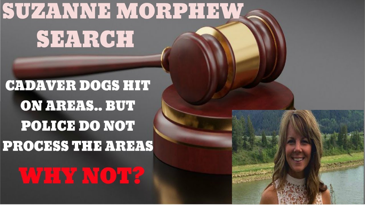 Suzanne Morphew New Update ~ Andy Moorman continues search ~ Law ...
