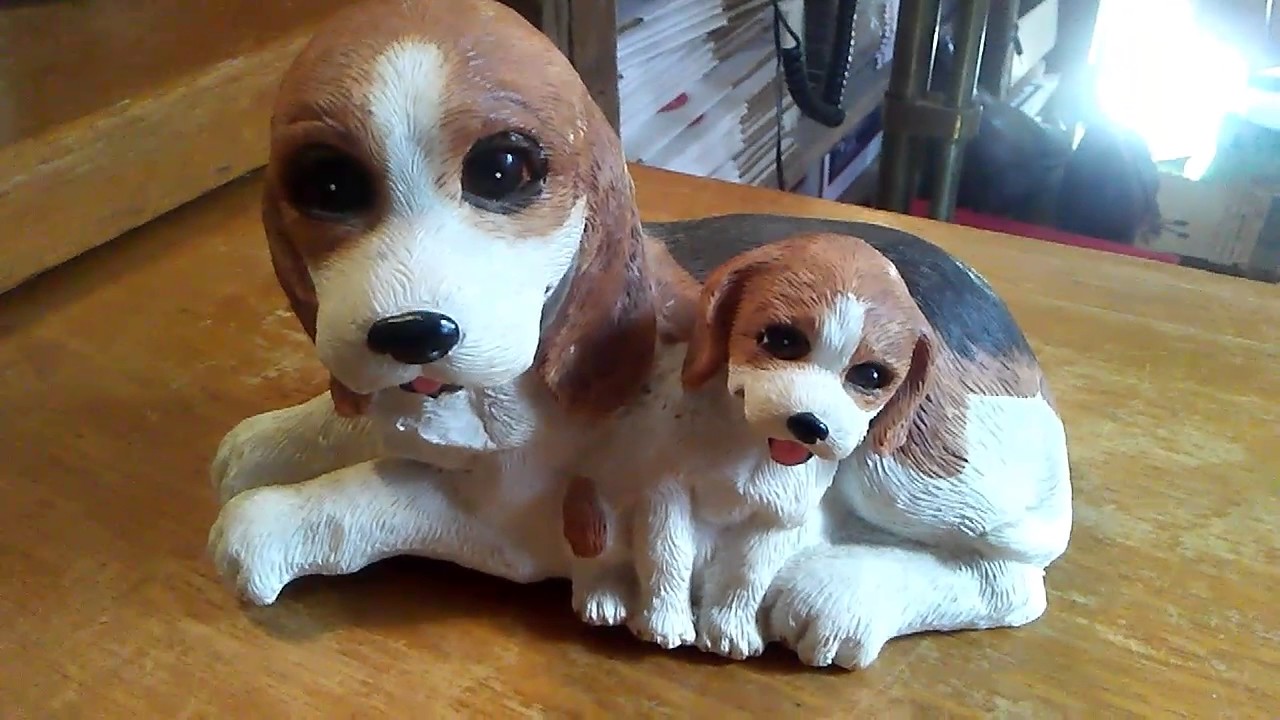 Basset hound music box playing "More Today than Yesterday" - YouTube