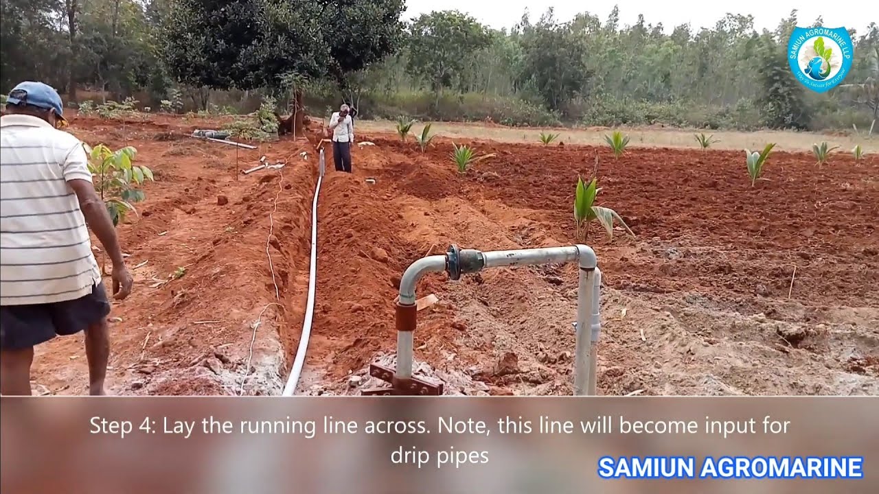 Installing Drip Irrigation To Coconut & Drumstick Plants Training by SK ...