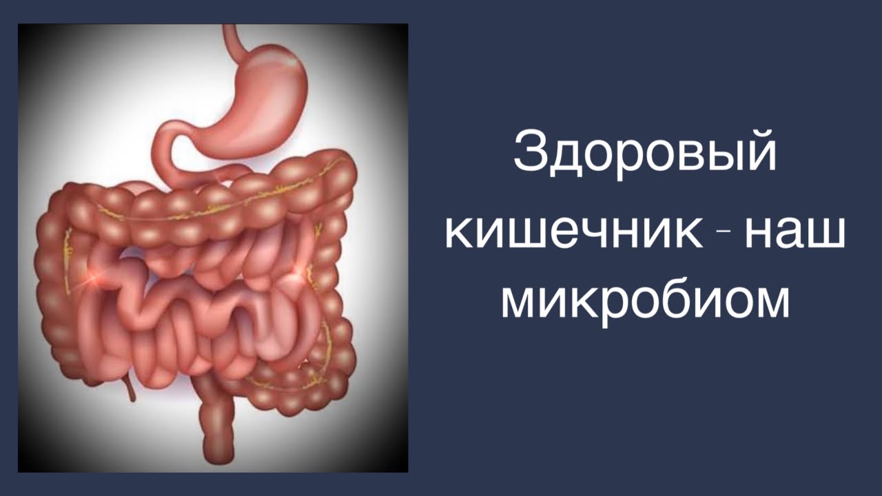 Здоровый кишечник - наш микробиом. - YouTube