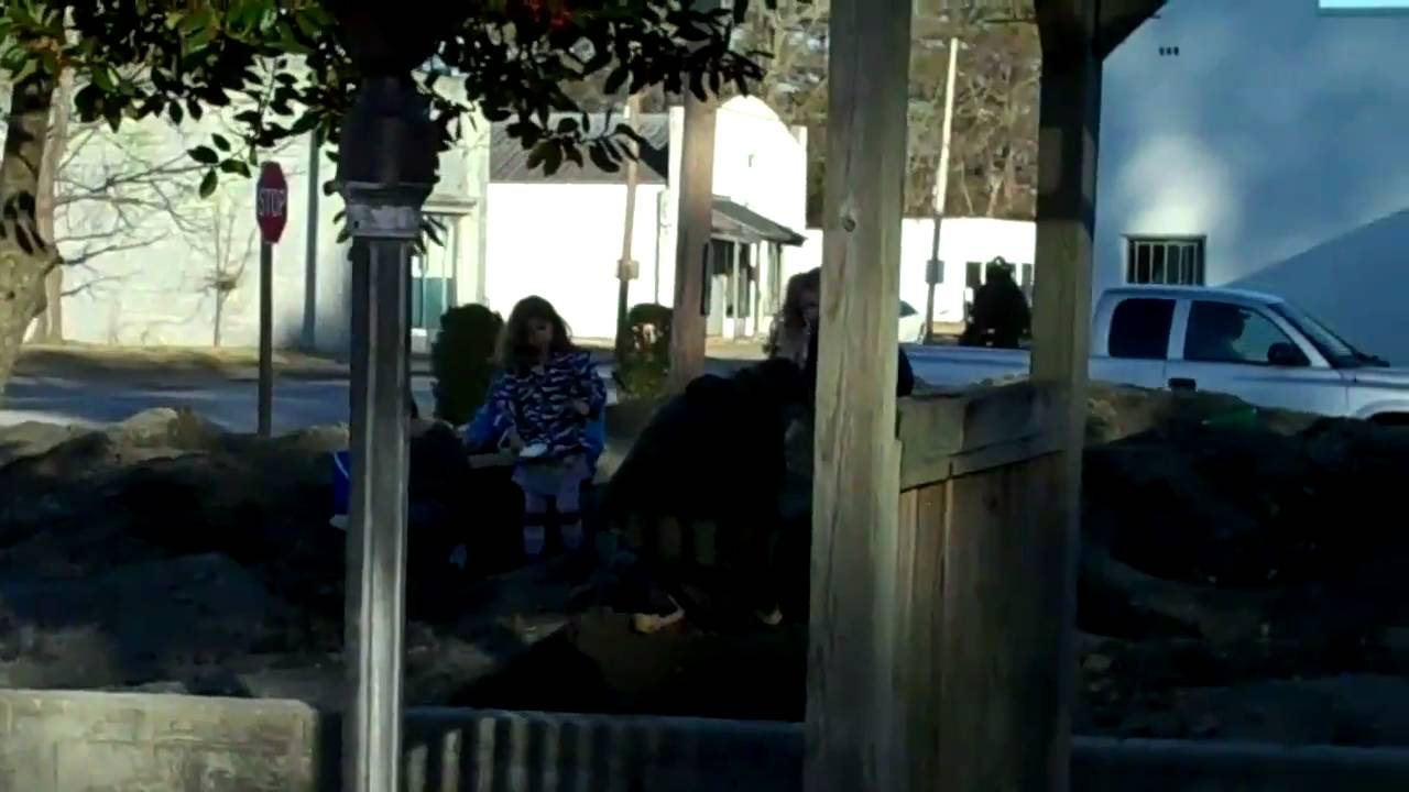 January 2011 Big Fossil Dig Aurora NC - YouTube
