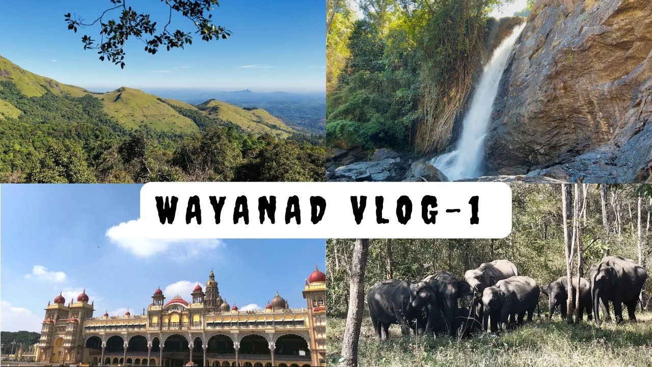 Wayanad Tourist Places 1 | Mysore Palace | Glass Bridge | Soochipara ...