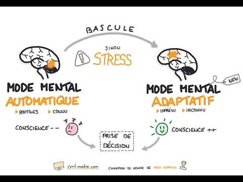 La Gestion des Modes Mentaux - Mind Mapping - YouTube
