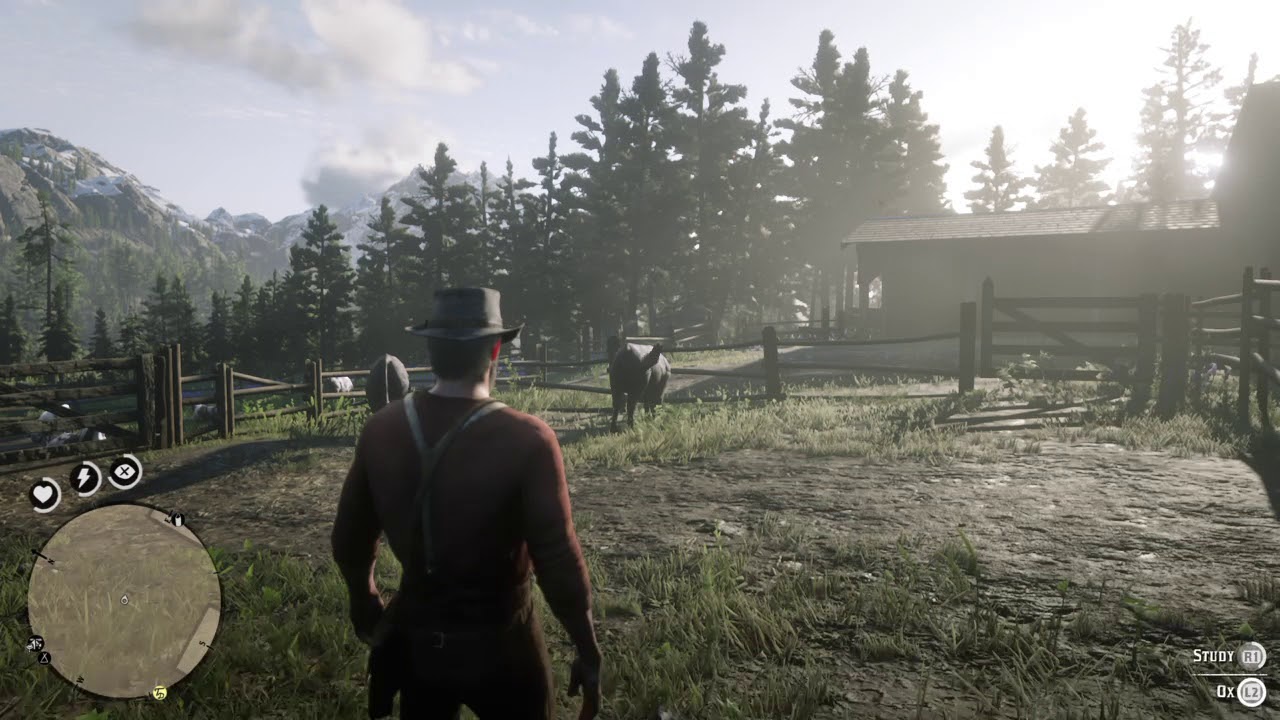 Red Dead Redemption 2 friendly Ox - YouTube