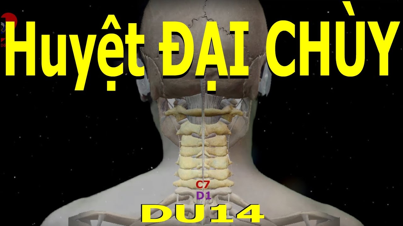 DU14 | Huyệt Đại chùy | Đốc mạch | Acupoint VIKUDO - YouTube