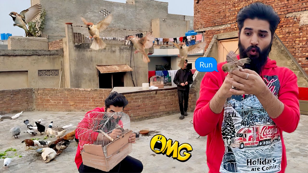 Rescue Bird ko Azad Kar Diya magar! 😍 pets vlog - YouTube