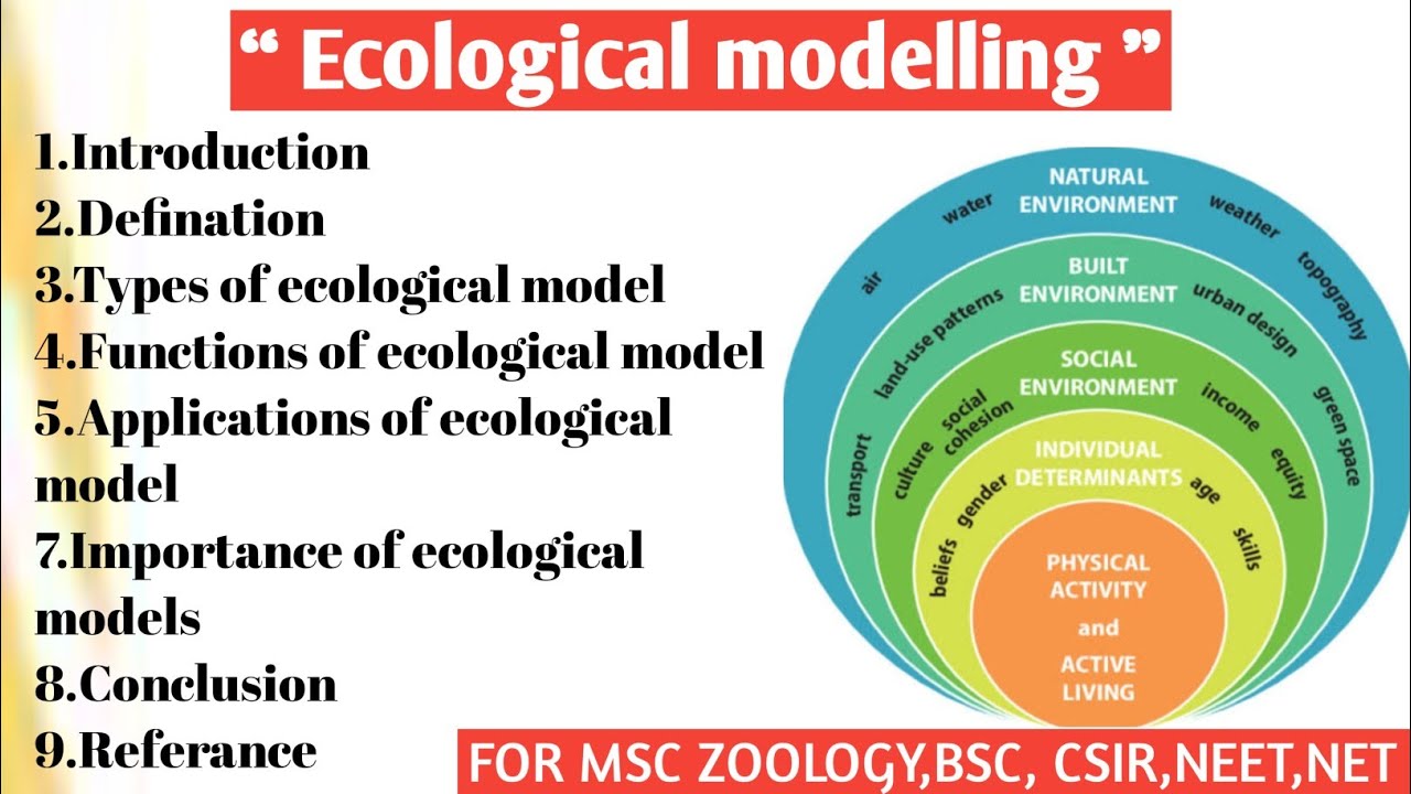 Ecological modeling | Types of ecological models | Function of ...