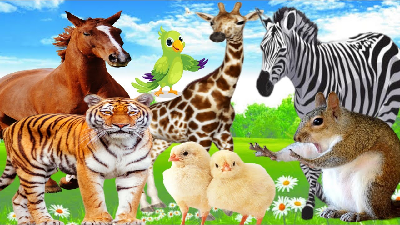 Cute Little Animals | Zebra, Giraffe, Horse, Tiger, Parrot, Chicken ...
