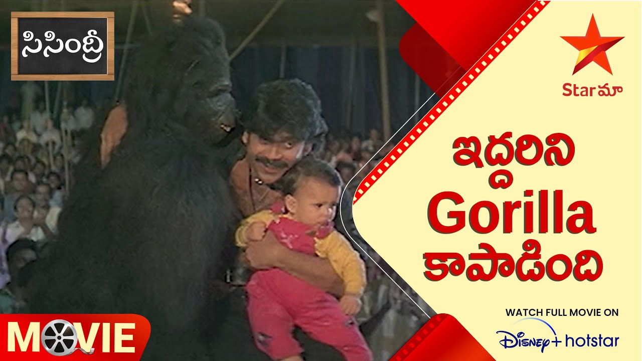 Sisindri Movie Scene | ఇద్దరిని Gorilla కాపాడింది | Telugu Movies ...