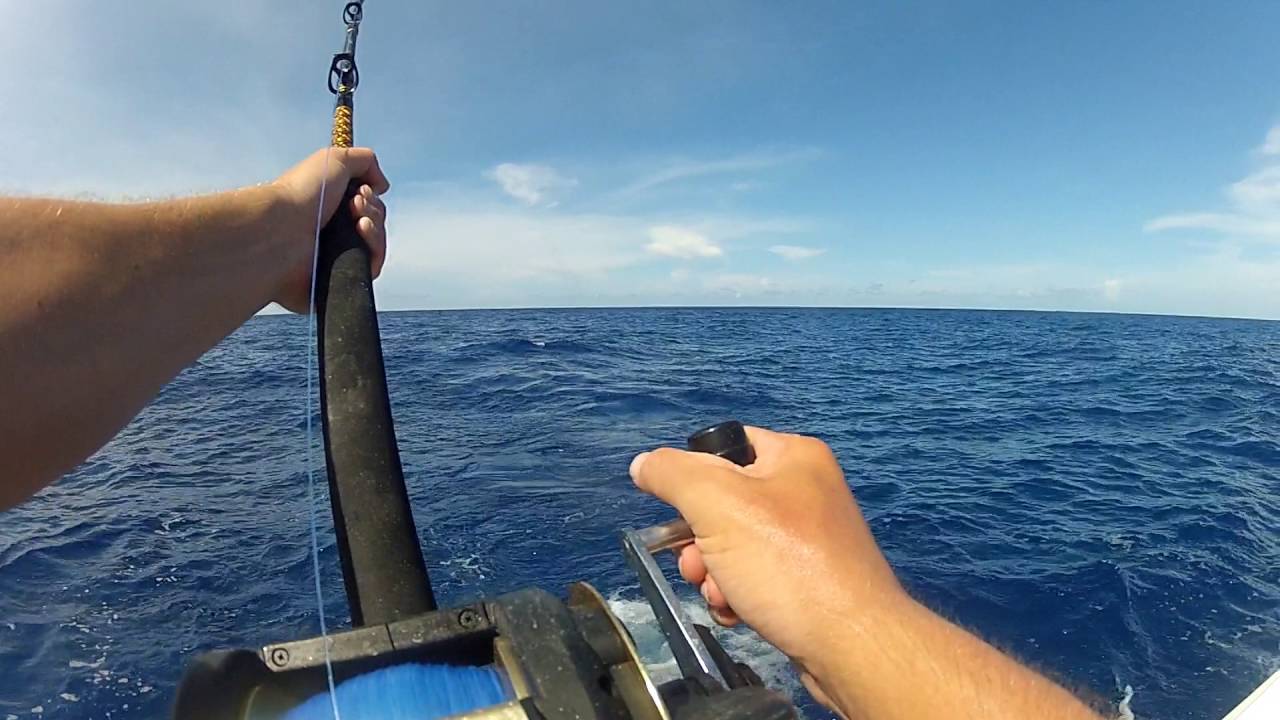Catching a White Marlin - YouTube