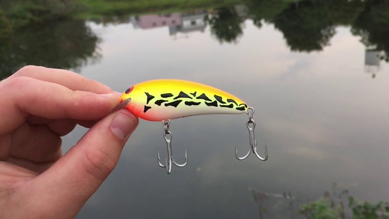 Fat Hunter 70mm CMC - Vídeo de Lançamento - YouTube