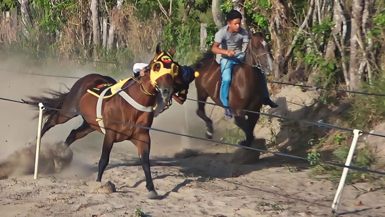 DESAFIOS - Corrida de cavalos - ASTEK vs ZAIA / SHOW DO MILHÃO vs ...