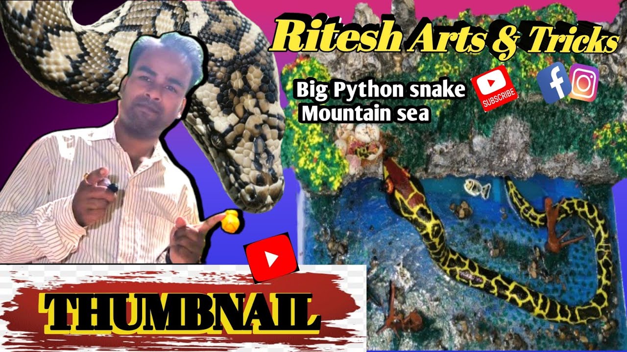 𝔹𝕚𝕘 𝕄𝕠𝕟𝕤𝕥𝕖𝕣 ℙ𝕪𝕥𝕙𝕠𝕟 𝕊𝕟𝕒𝕜𝕖 𝕄𝕠𝕦𝕟𝕥𝕒𝕚𝕟 𝕊𝕖𝕒,𝔼𝕡𝕠𝕩𝕪 ℝ𝕖𝕤𝕚𝕟 2024 - YouTube