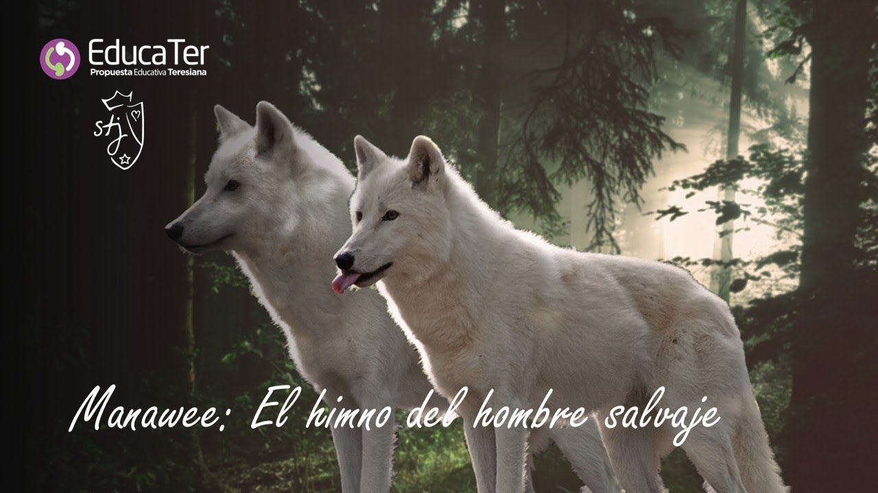 9. MANAWEE, CUENTO DE CLARISSA PINKOLA - YouTube