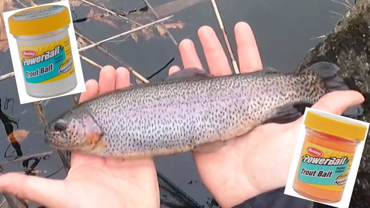 Rainbow Trout on Powerbait: Long Island NY - YouTube