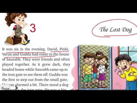 The Lost Dog | Moral Stories In English | Short Story In English ...