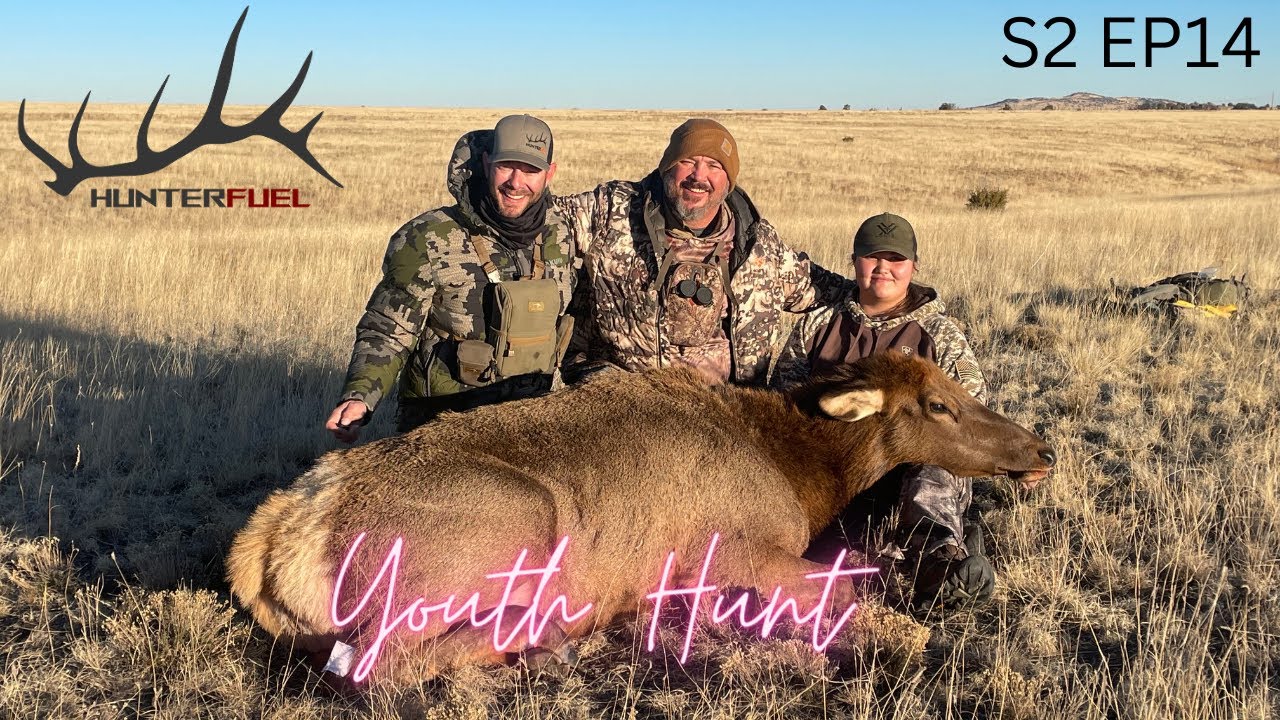 YOUTH COW ELK HUNT!!! AZ PUBLIC LAND! - YouTube
