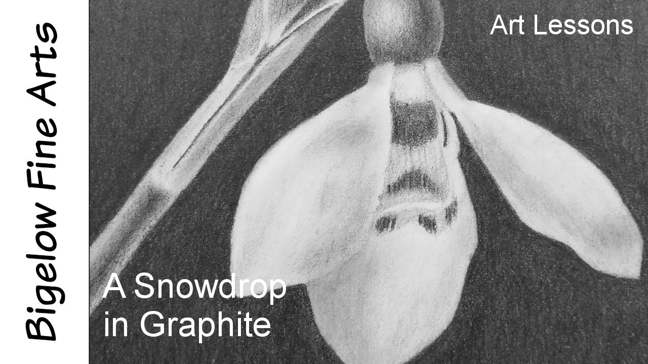 Graphite Botanical Art: A tutorial on a snowdrop - YouTube