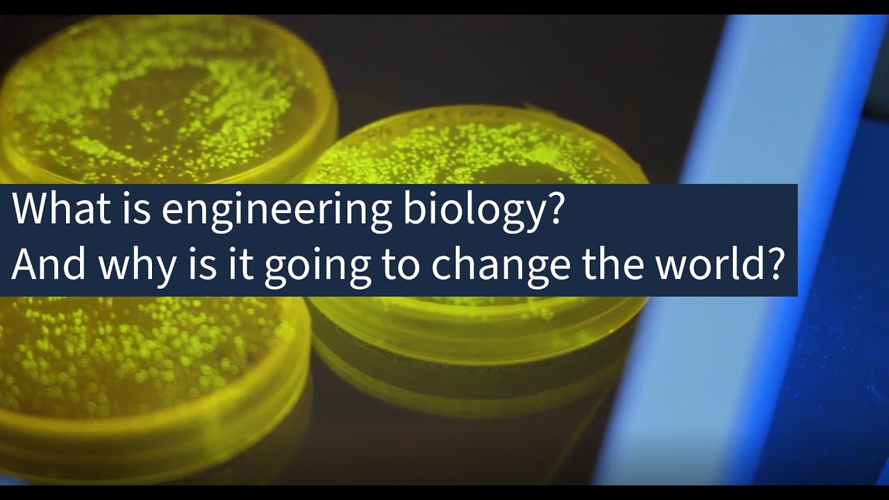 What is engineering biology? And why is it going to change the world ...