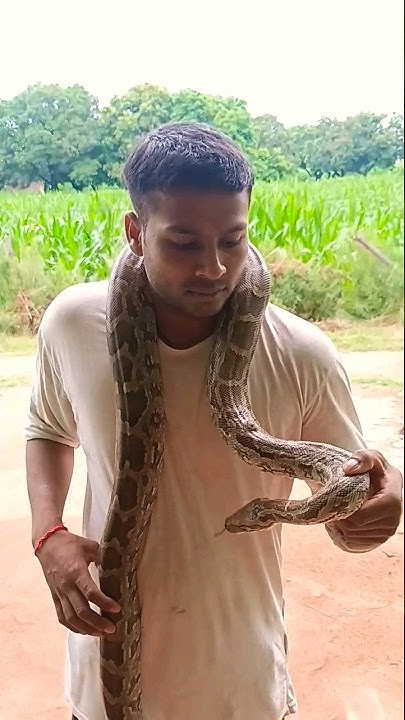 #python snack mere gale me# - YouTube