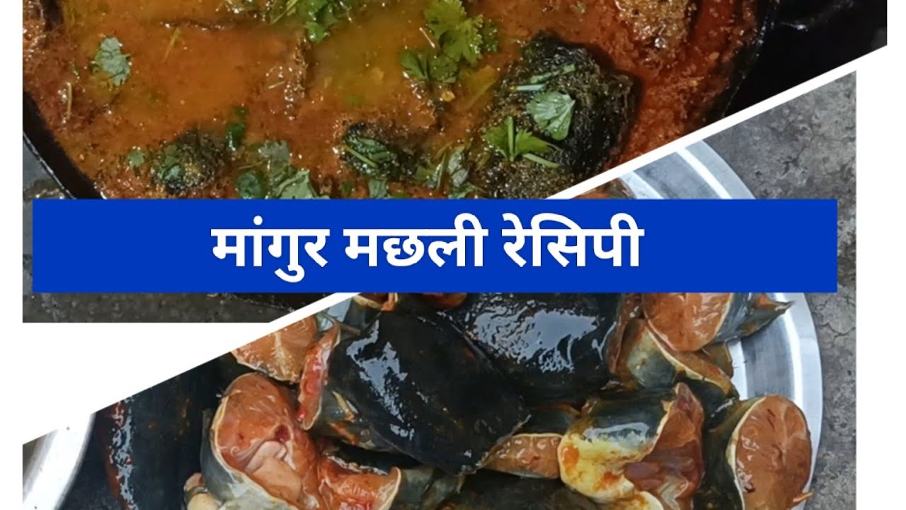मांगुर मछली बनाने का तरीका आप देख लो।mangur fish recipe l fish curry ...