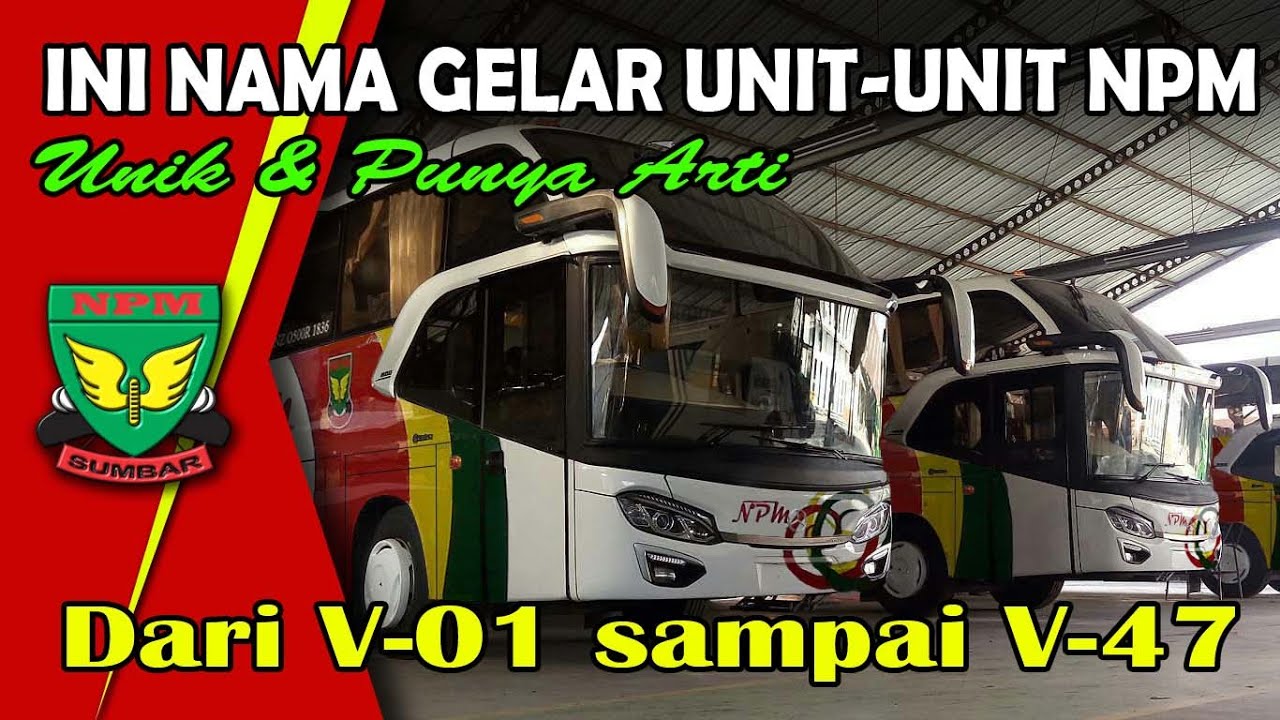 BUS NPM || UNIK & PUNYA ARTI !! Ini deretan nama gelar unit-unit Bus ...