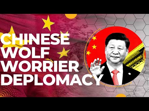 Chinese wolf worrier deplomacy - a strong deplomacy of china..#china # ...