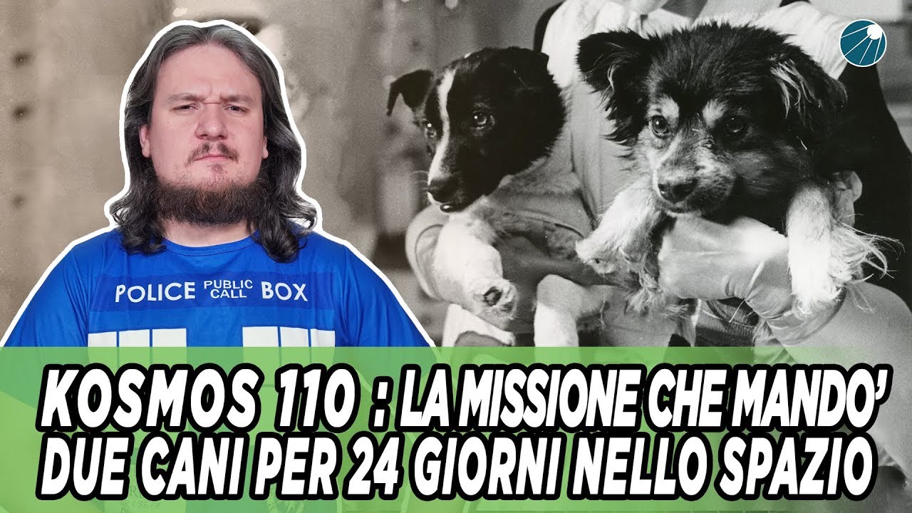Kosmos 110 : la missione sovietica che mandò cani nello spazio per 24 ...